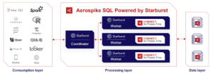Aerospike Case Study | Starburst